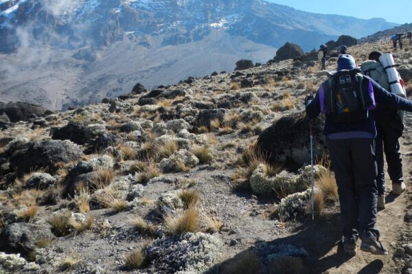 7 Days Kilimanjaro Lemosho Route Climbing Itinerary – Lyimo Expeditions ...